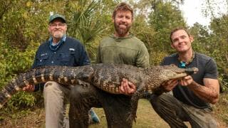 Animals on Drugs Next Episode Air Date & Countdown