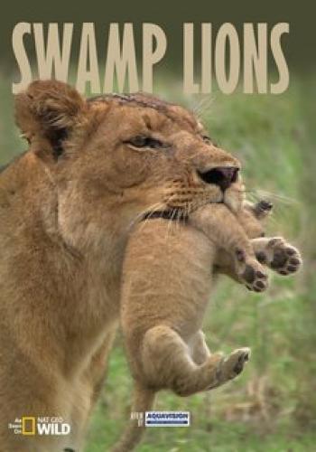 Swamp Lions Next Episode Air Date & Countdown