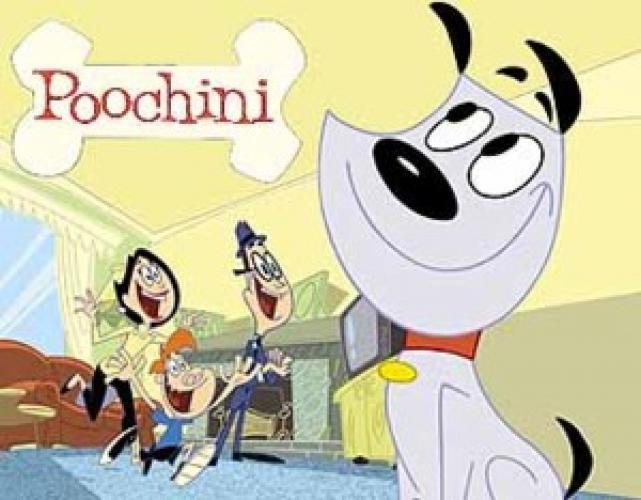 Poochini Next Episode Air Date & Countdown